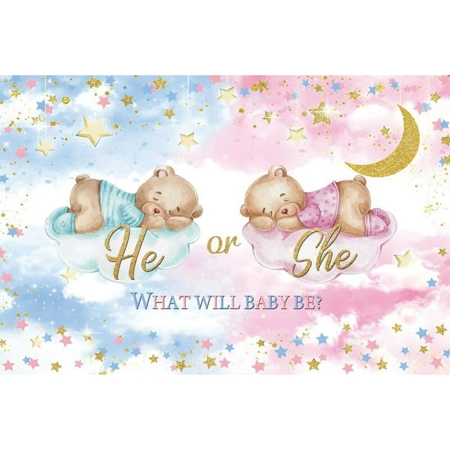 Boy or Girl Gender Reveal Photo Backdrop Blue Pink Balloon Watercolor ...