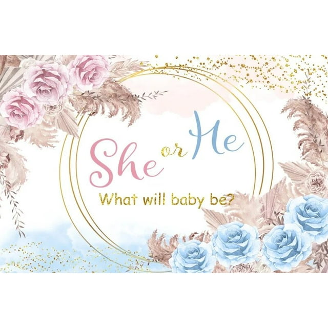 Boy or Girl Gender Reveal Photo Backdrop Blue Pink Balloon Watercolor ...