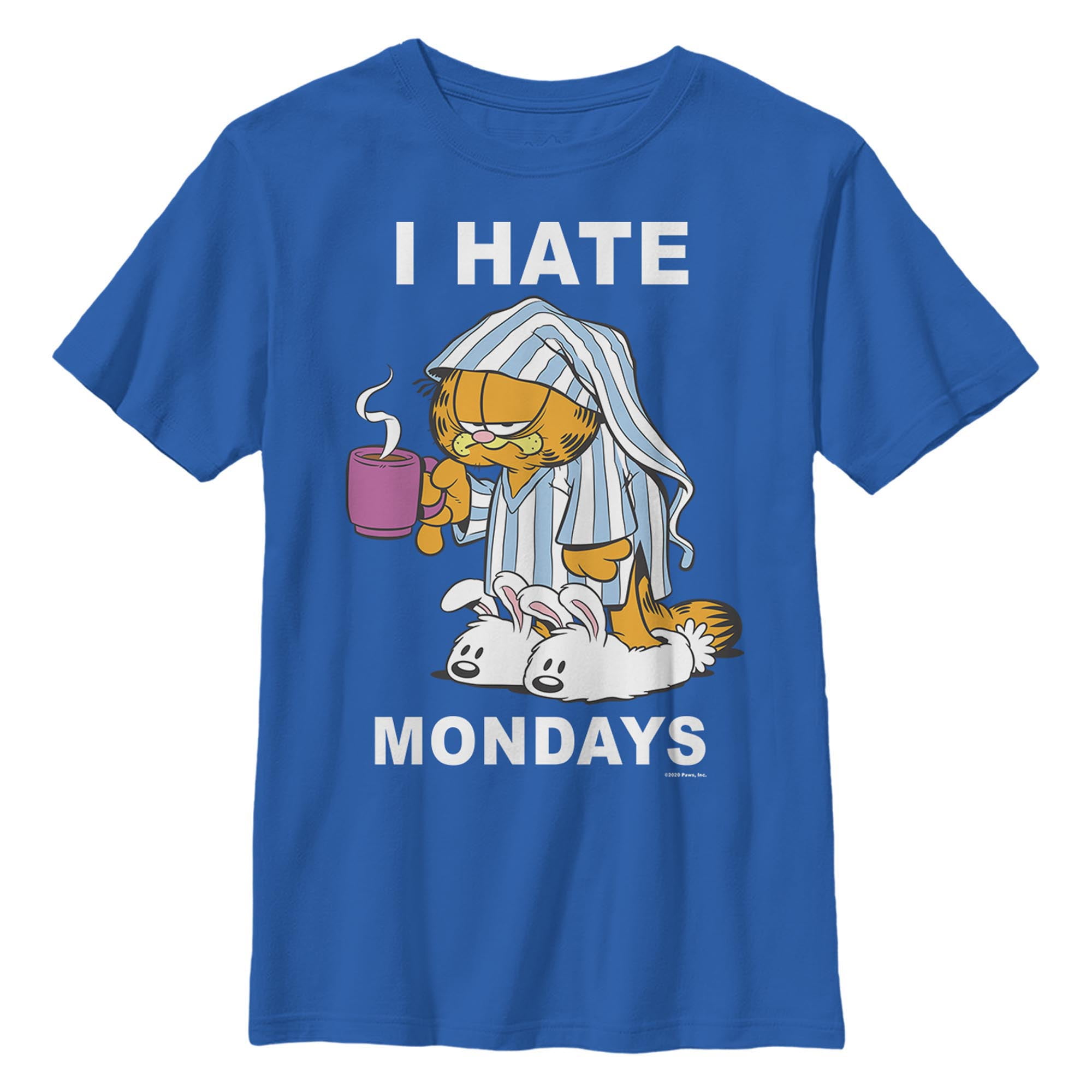 Boy's Garfield I Hate Mondays Graphic T-Shirt - Walmart.com