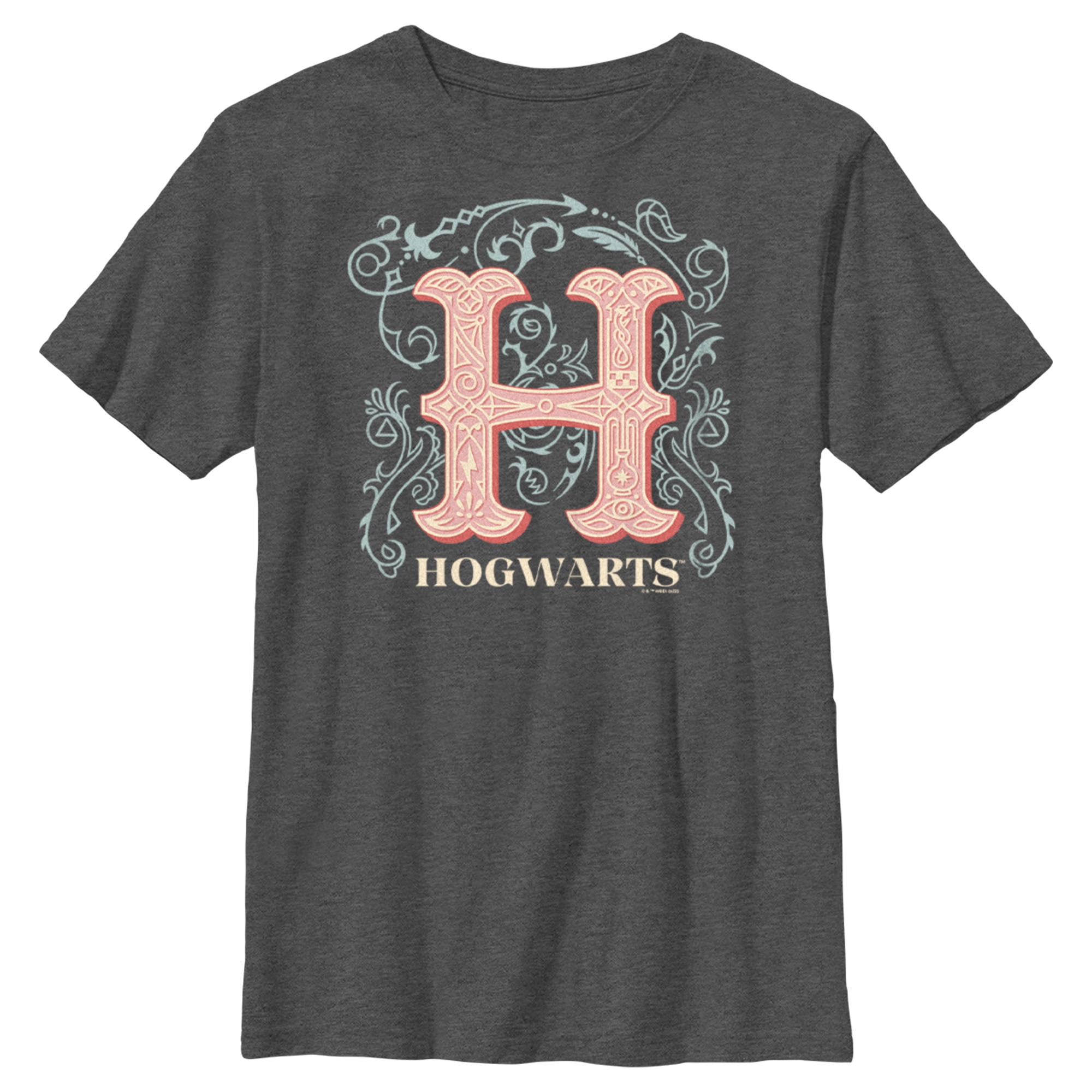 Boy's Harry Potter Decorative Hogwarts Symbol Graphic Tee Charcoal ...