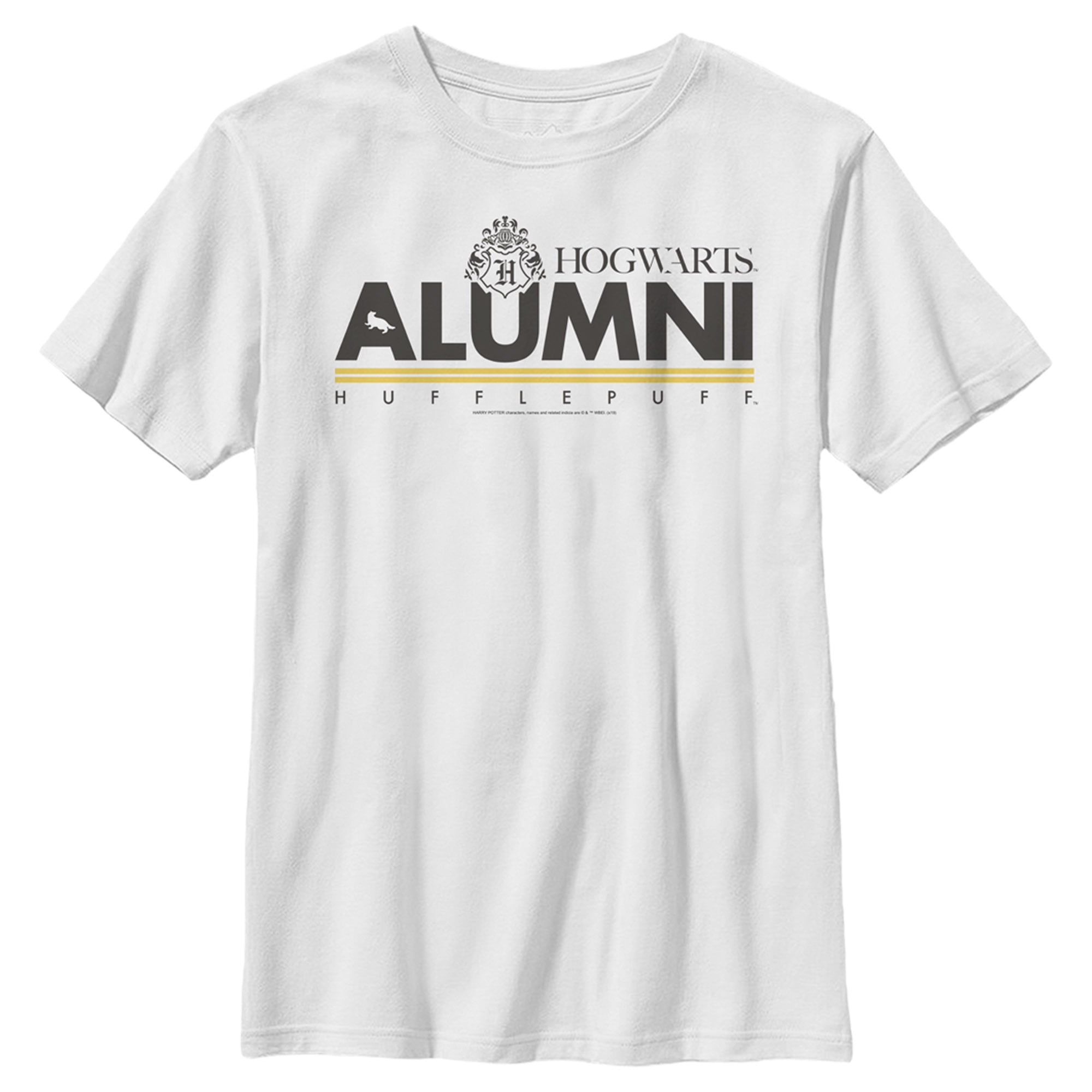 Boy's Harry Potter Hogwarts Alumni Hufflepuff Graphic Tee White Medium ...