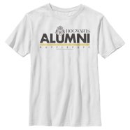 Boys' Husky Harry Potter Gryffindor Quidditch Gold Team Seeker Graphic ...