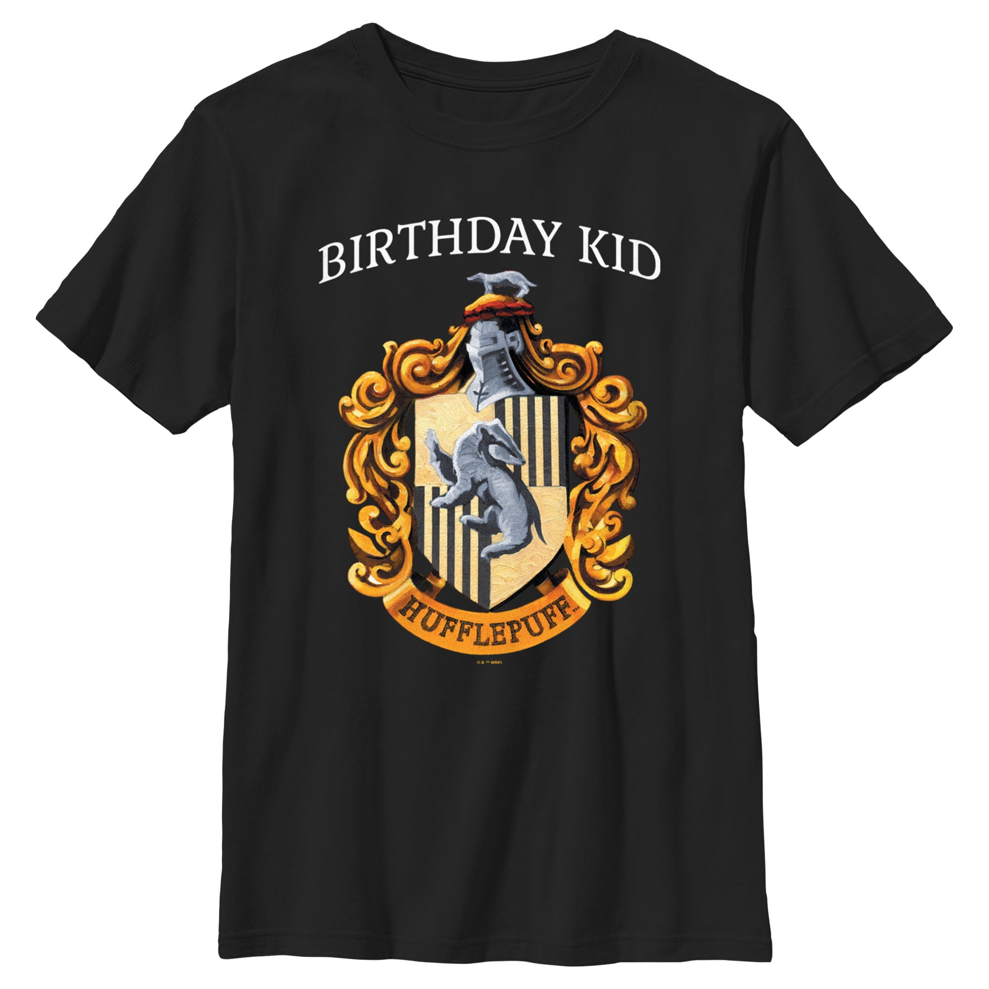 Boy's Harry Potter Hufflepuff Birthday Kid Graphic Tee Black Medium ...