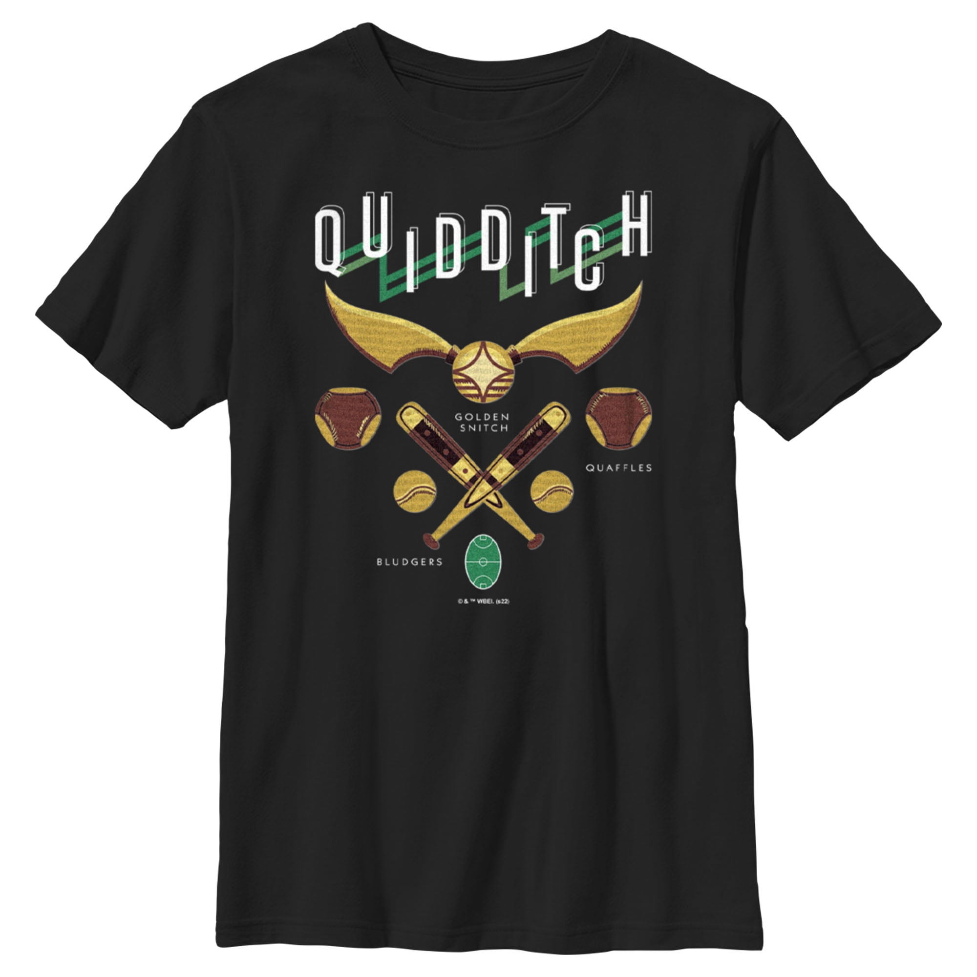 Boy's Harry Potter Quidditch Elements Graphic Tee Black Large - Walmart.com