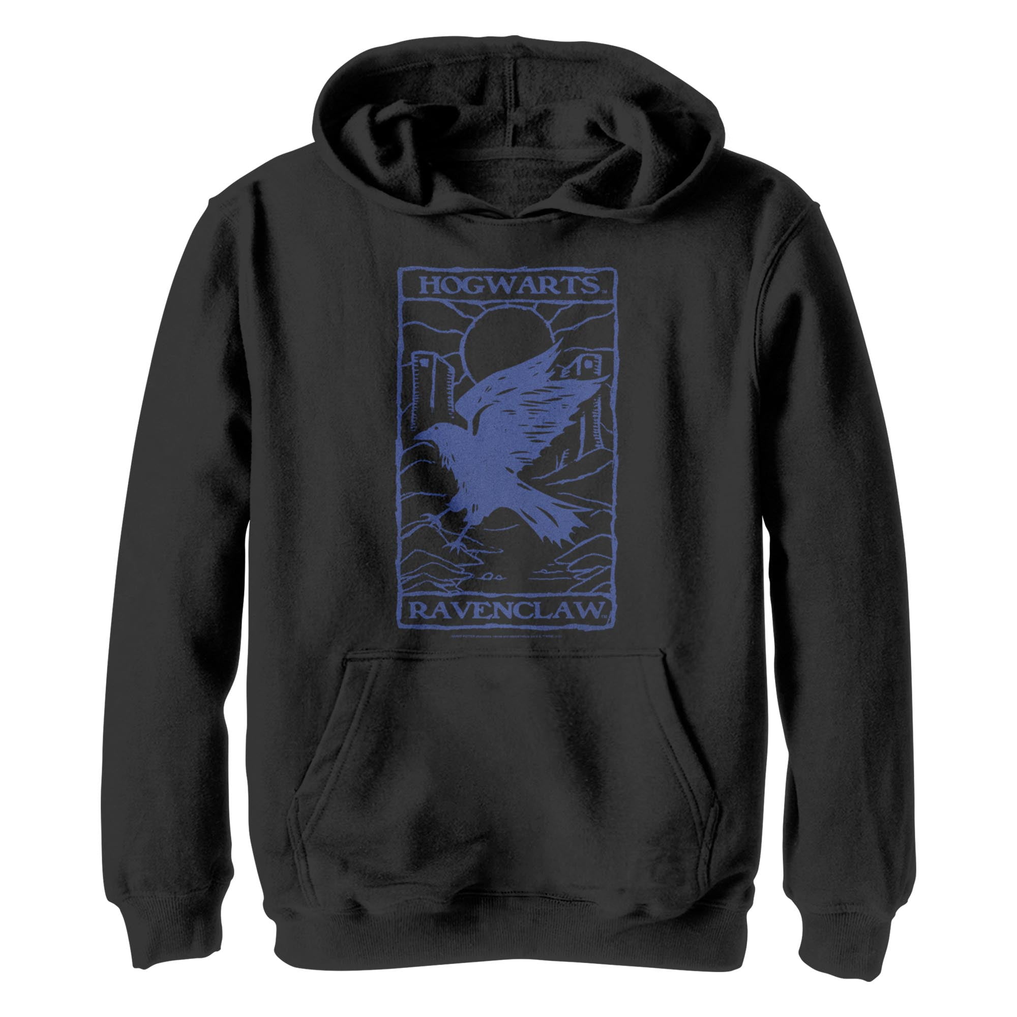 Boy's Harry Potter Ravenclaw Eagle Pull Over Hoodie - Walmart.com