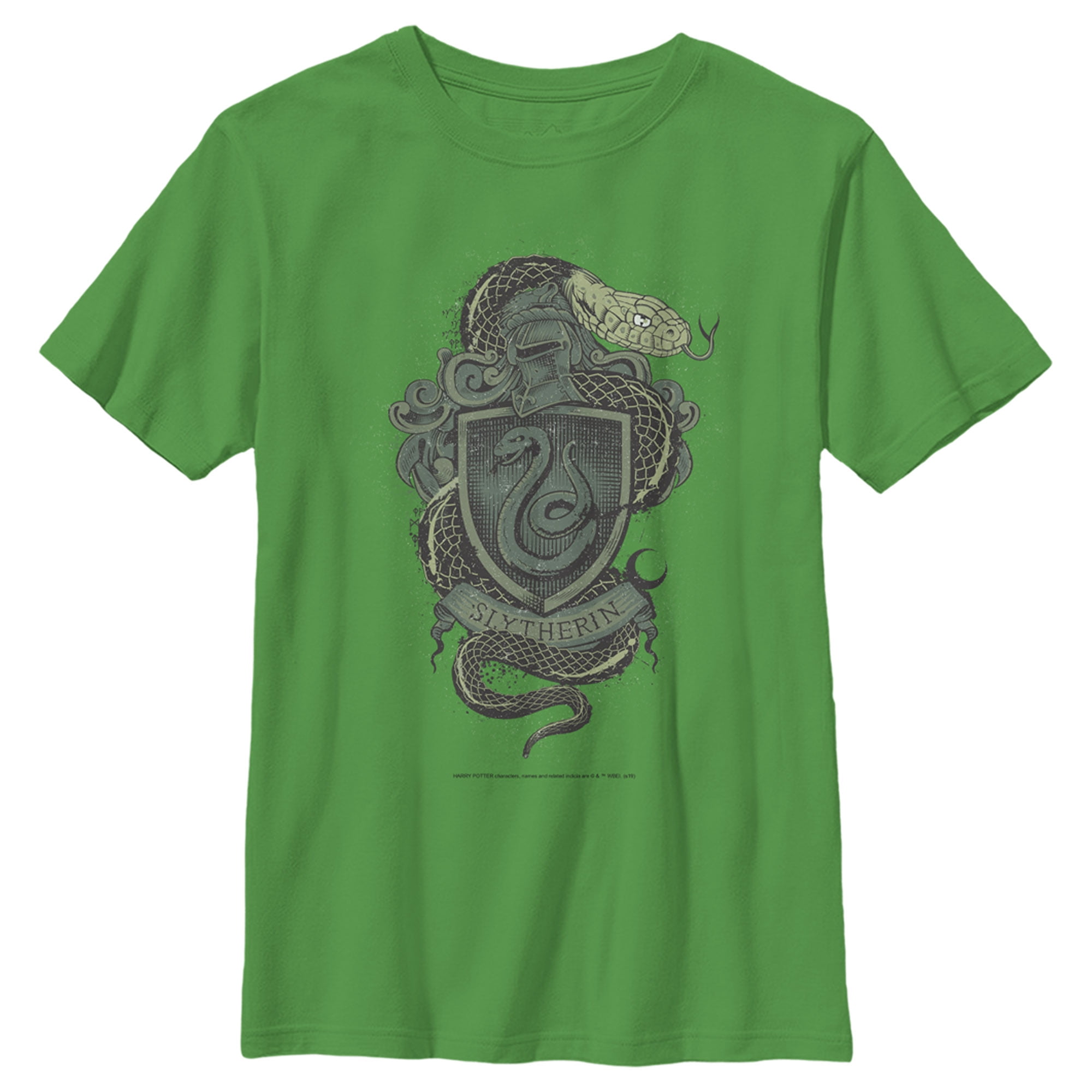 Boy's Harry Potter Slytherin Coat of Arms Graphic Tee Kelly Green Small ...
