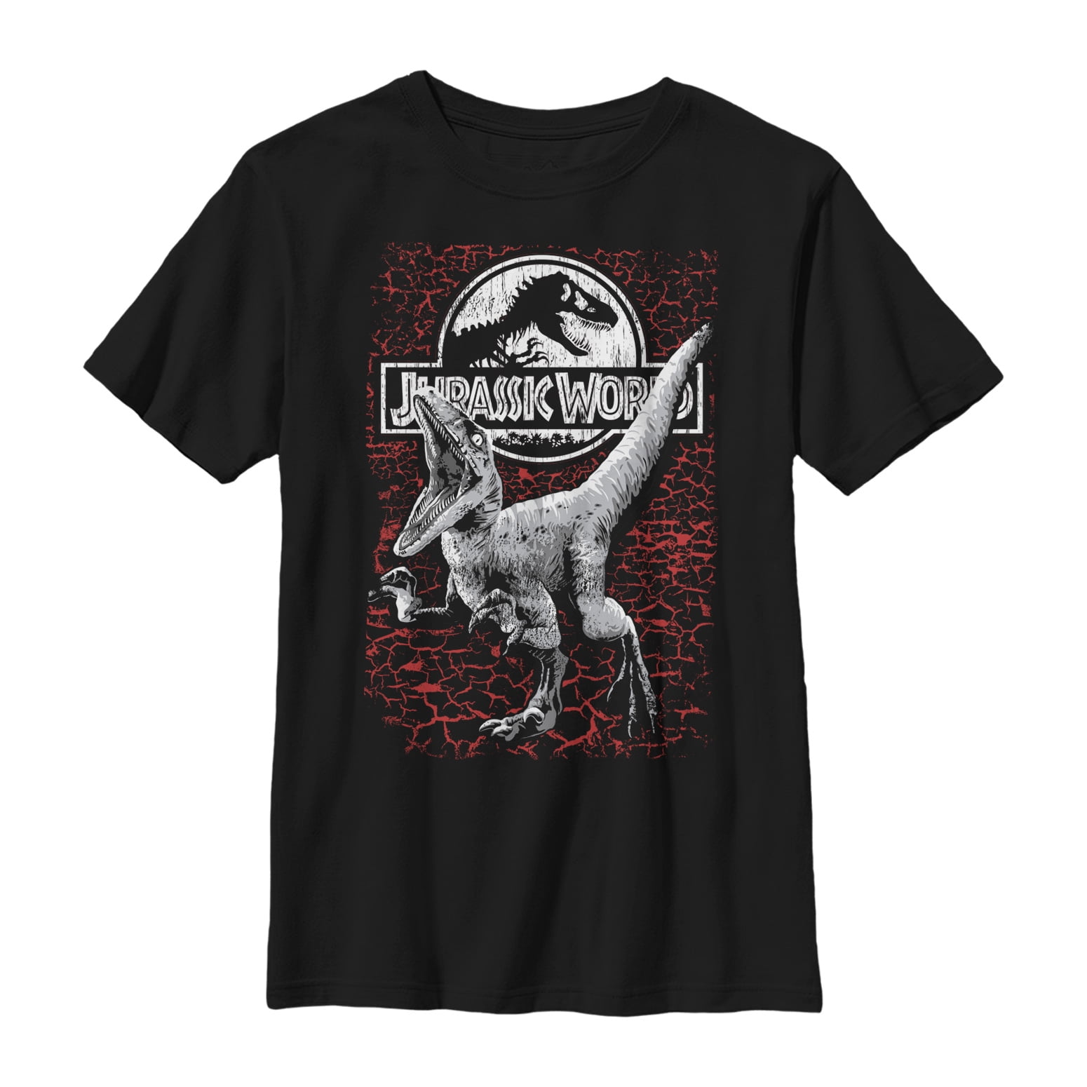 Boy's Jurassic World Raptor Lava Logo Graphic Tee Black Medium ...