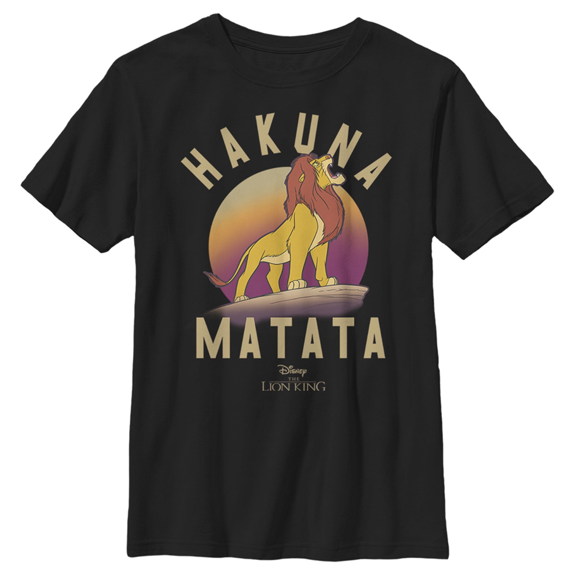 Boy's Lion King Simba Hakuna Matata Graphic Tee Black Large - Walmart.com
