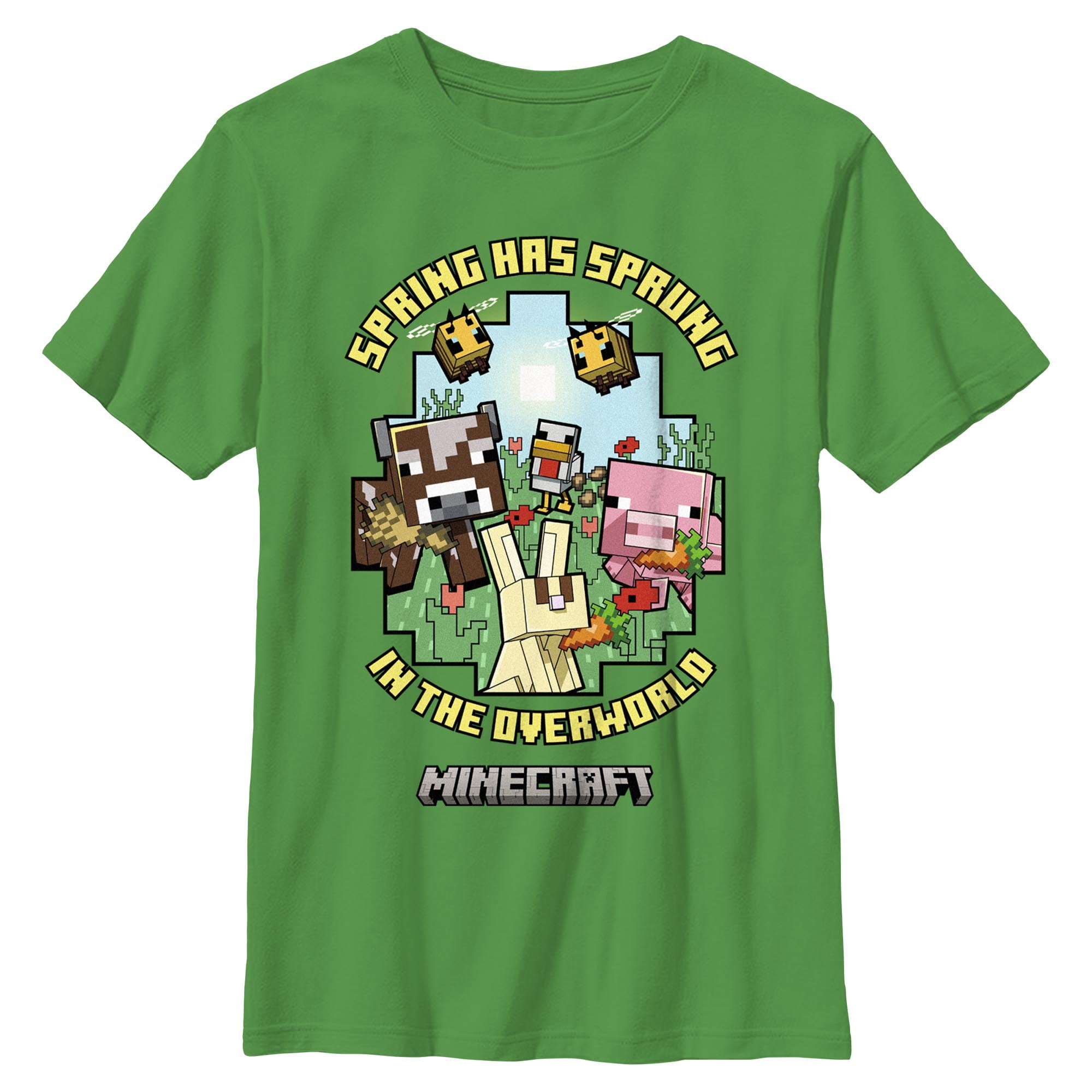 Boy's Minecraft Spring Has Sprung Graphic T-Shirt - Walmart.com