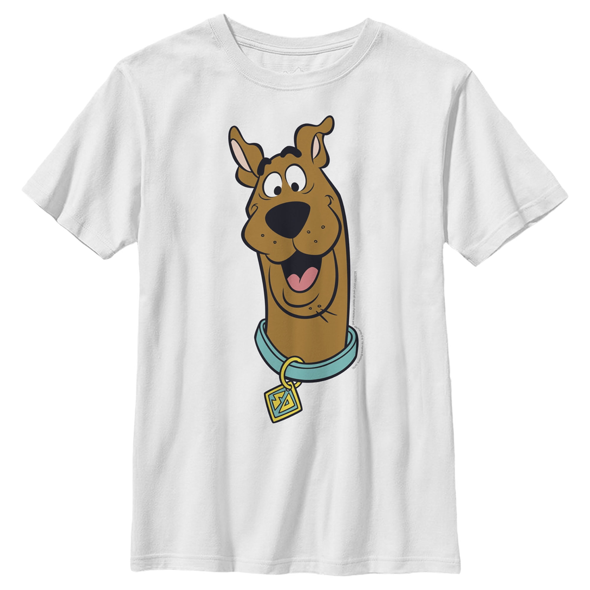 Boy's Scooby Doo Happy Pose Graphic Tee White Small - Walmart.com