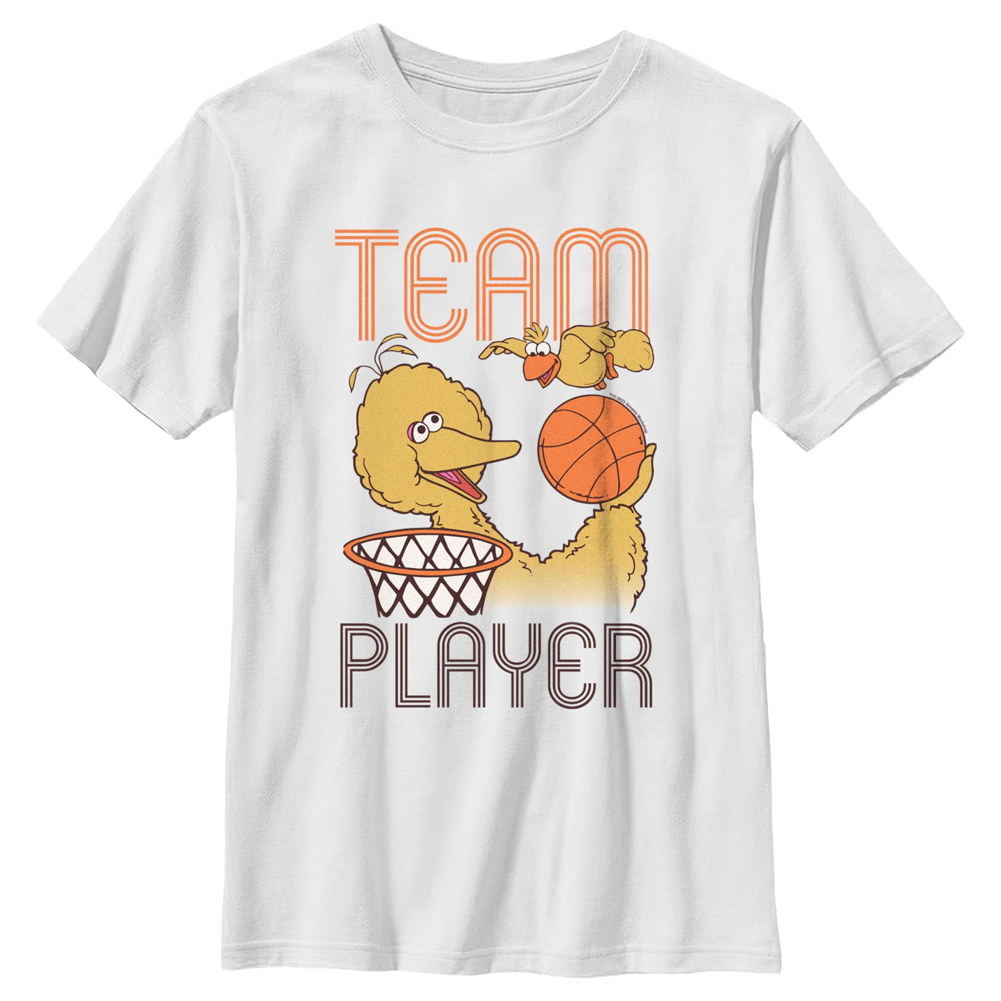 Boy's Sesame Street Big Bird Team Player Graphic T-Shirt - Walmart.com