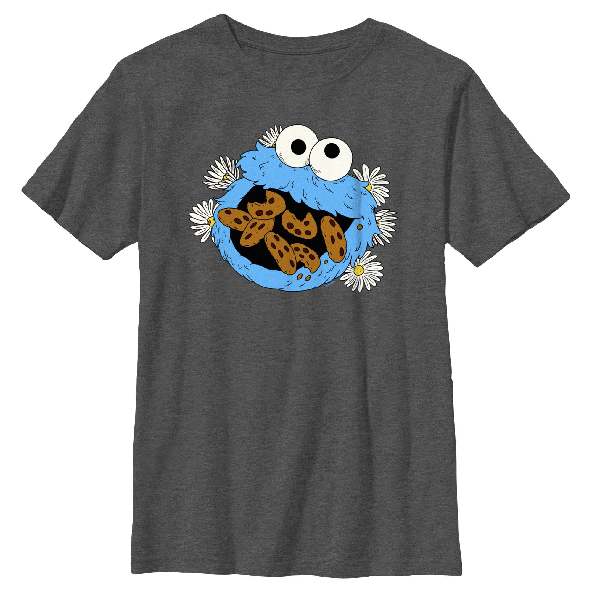Boy's Sesame Street Cookie Monster and Daisies Graphic T-Shirt ...