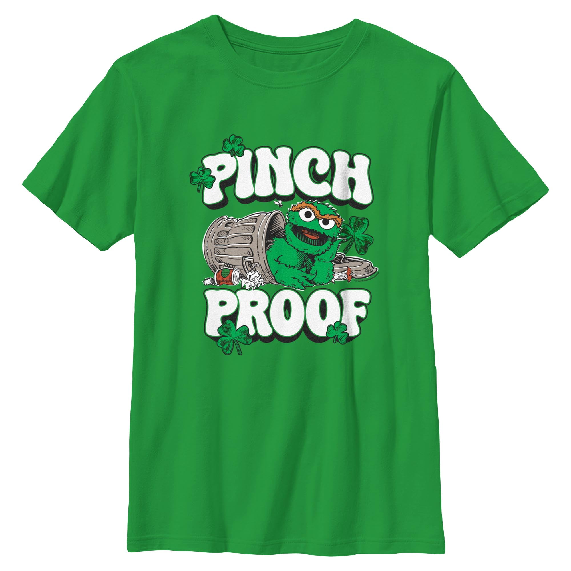 Boy's Sesame Street Pinch Proof Graphic T-Shirt - Walmart.com