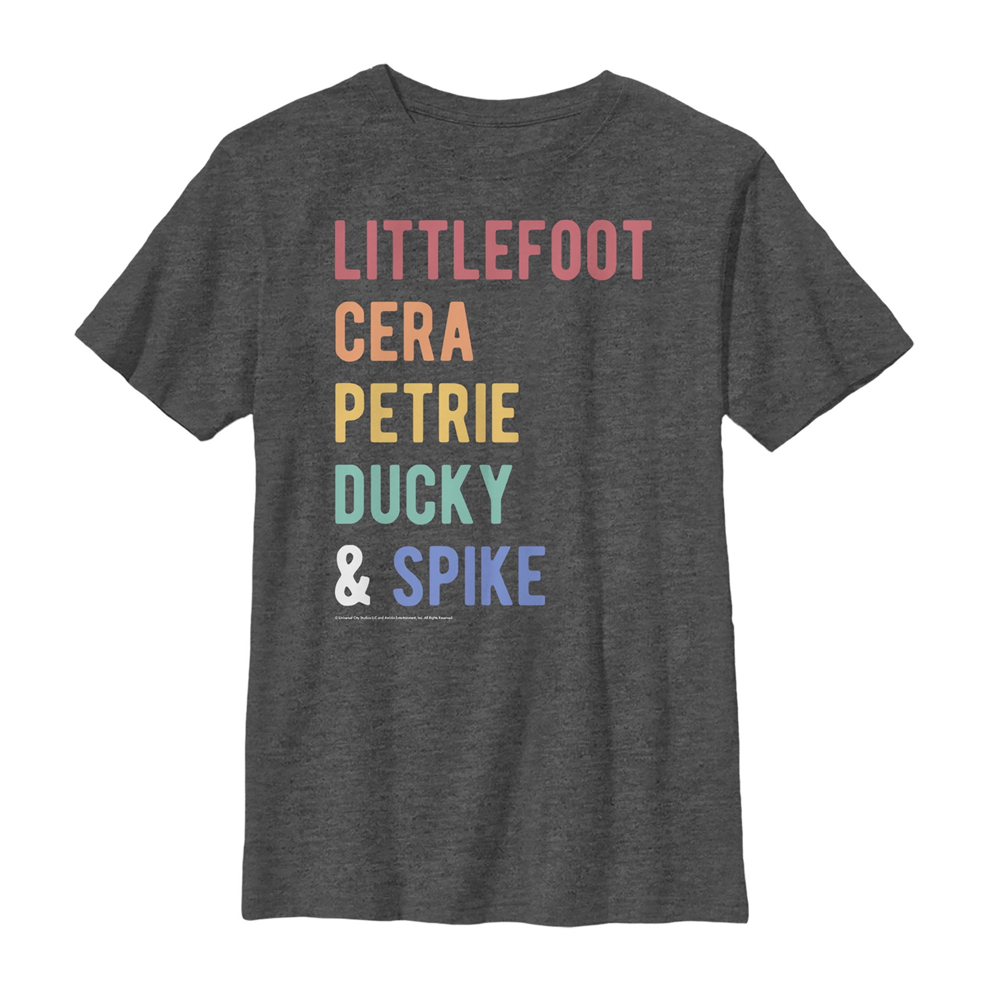 Boy's The Land Before Time Best Friend Names Graphic Tee Charcoal ...