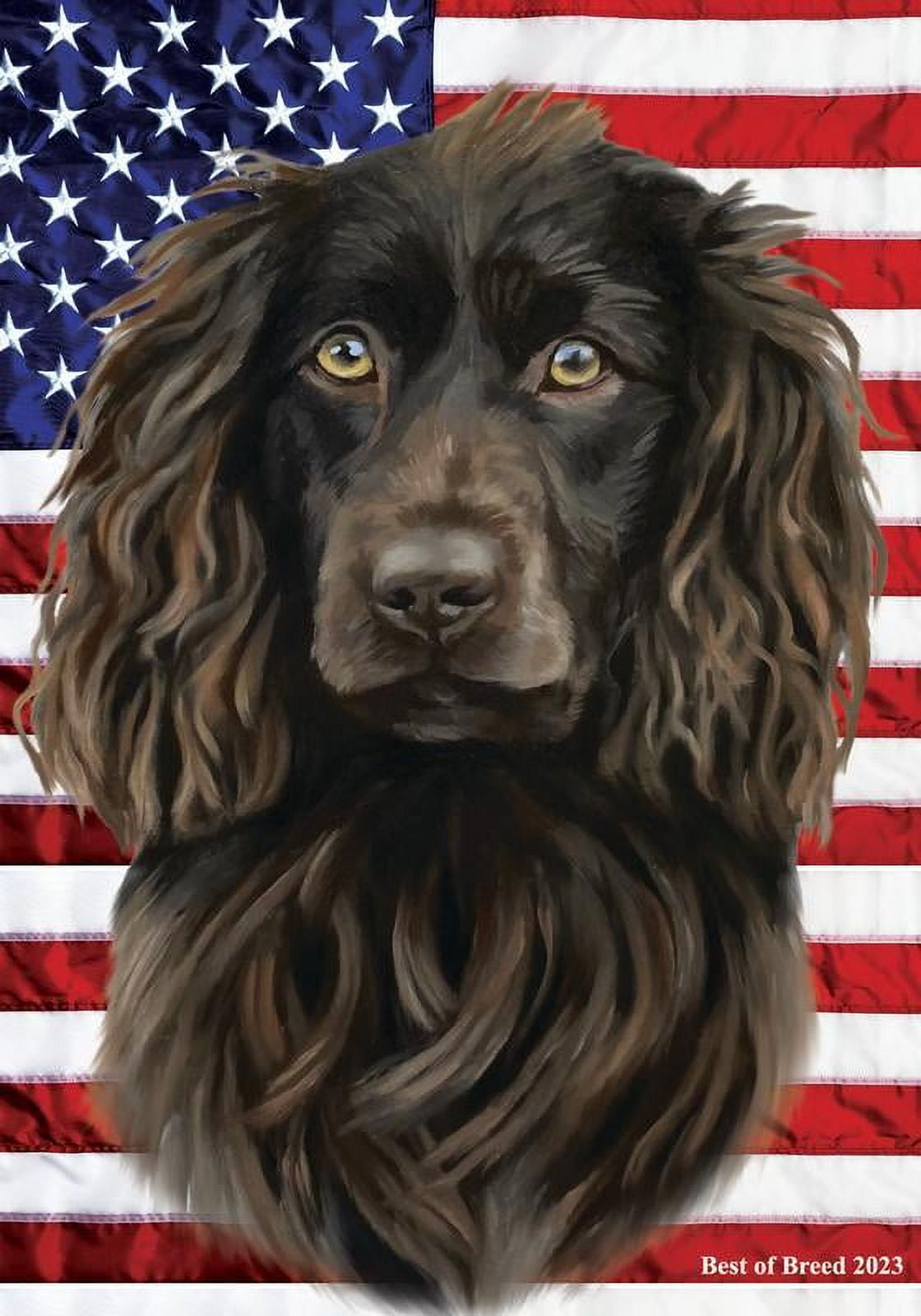 Boykin Spaniel - Best of Breed All-American Patriotic III Garden Flag ...