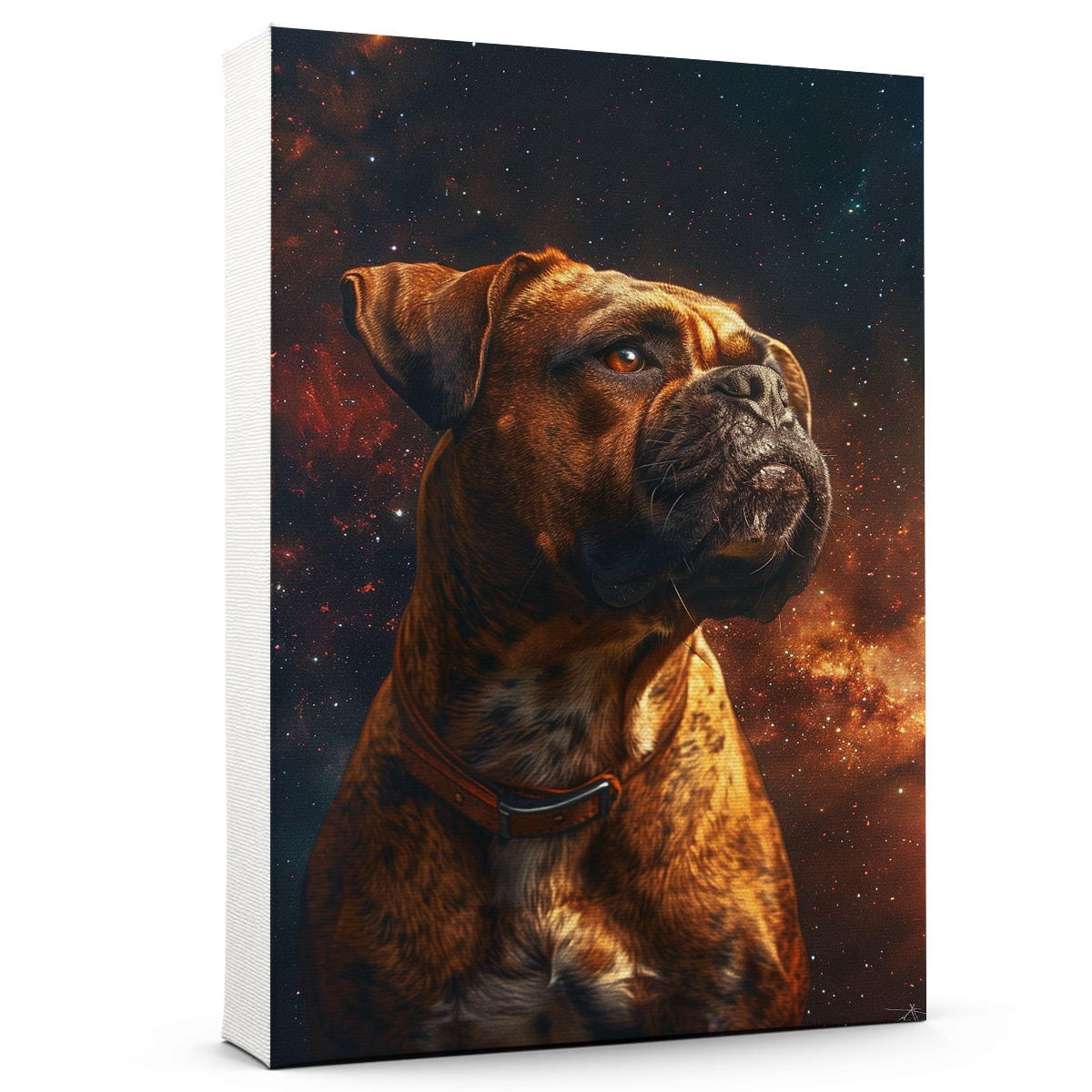 Boykin Spaniel Dog Space Painting Poster Unframe, Boykin Spaniel Dog ...