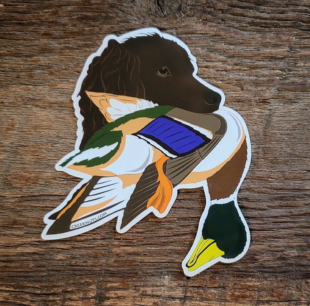 Boykin Spaniel with Mallard Duck Sticker Decal - Walmart.com