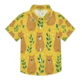 Boys Button-Down Shirt Short Sleeve Shirt Tops for 3Y Capybara and ...