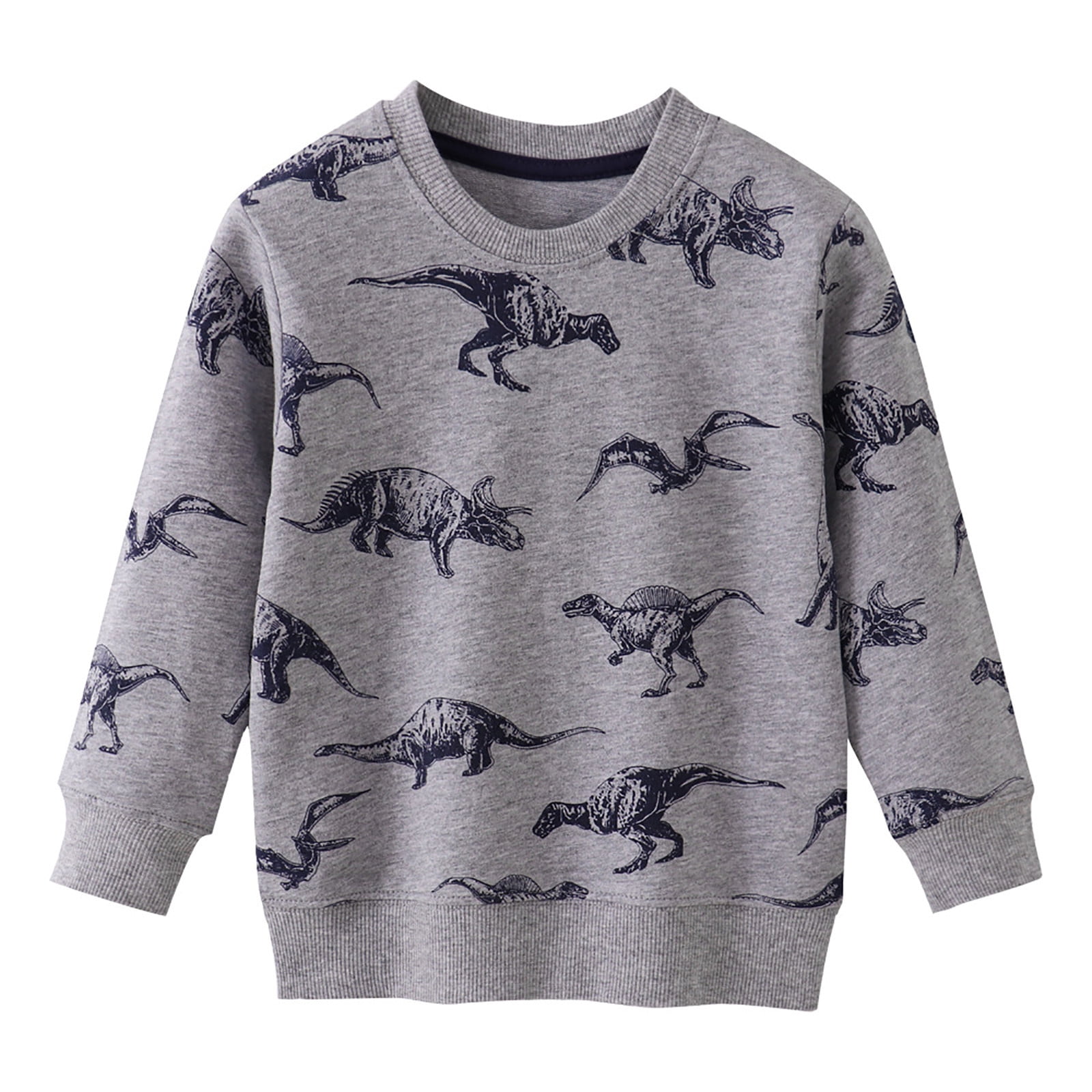Boys Cartoon Dinosaur Print Hoodie Long Sleeve Crewneck Casual Fall Tee ...