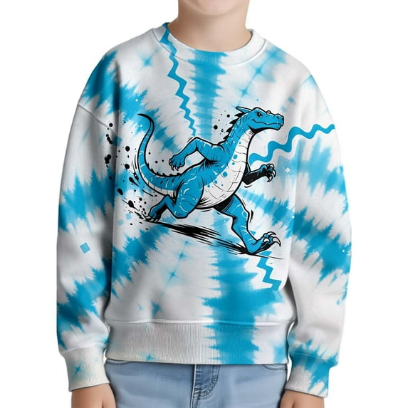 Boys' Cartoon Pattern Crew Neck Long Sleeve Sweatshirt (1Y 7Y ...