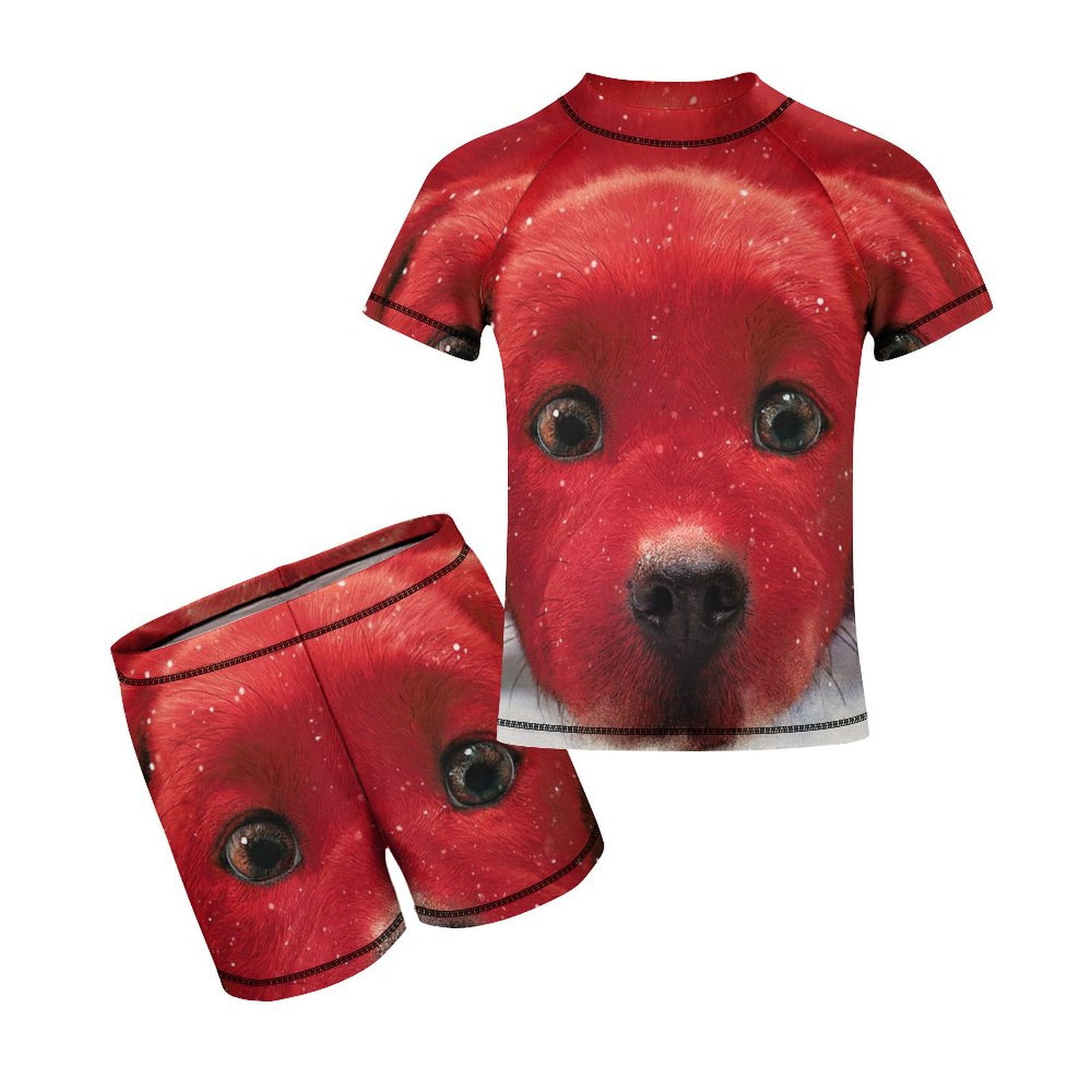 Boys Clif-ford Big Red Dog Rash Guard Set 2 Piece Swimsuits Short ...