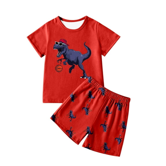 Boys Dinosaur Graphic T-Shirt and Shorts Matching Playwear Set for ...