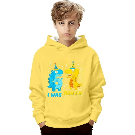 Boys Kids' Graphic Print Hooded Sweatshirt Girls Pullover With Designs ...