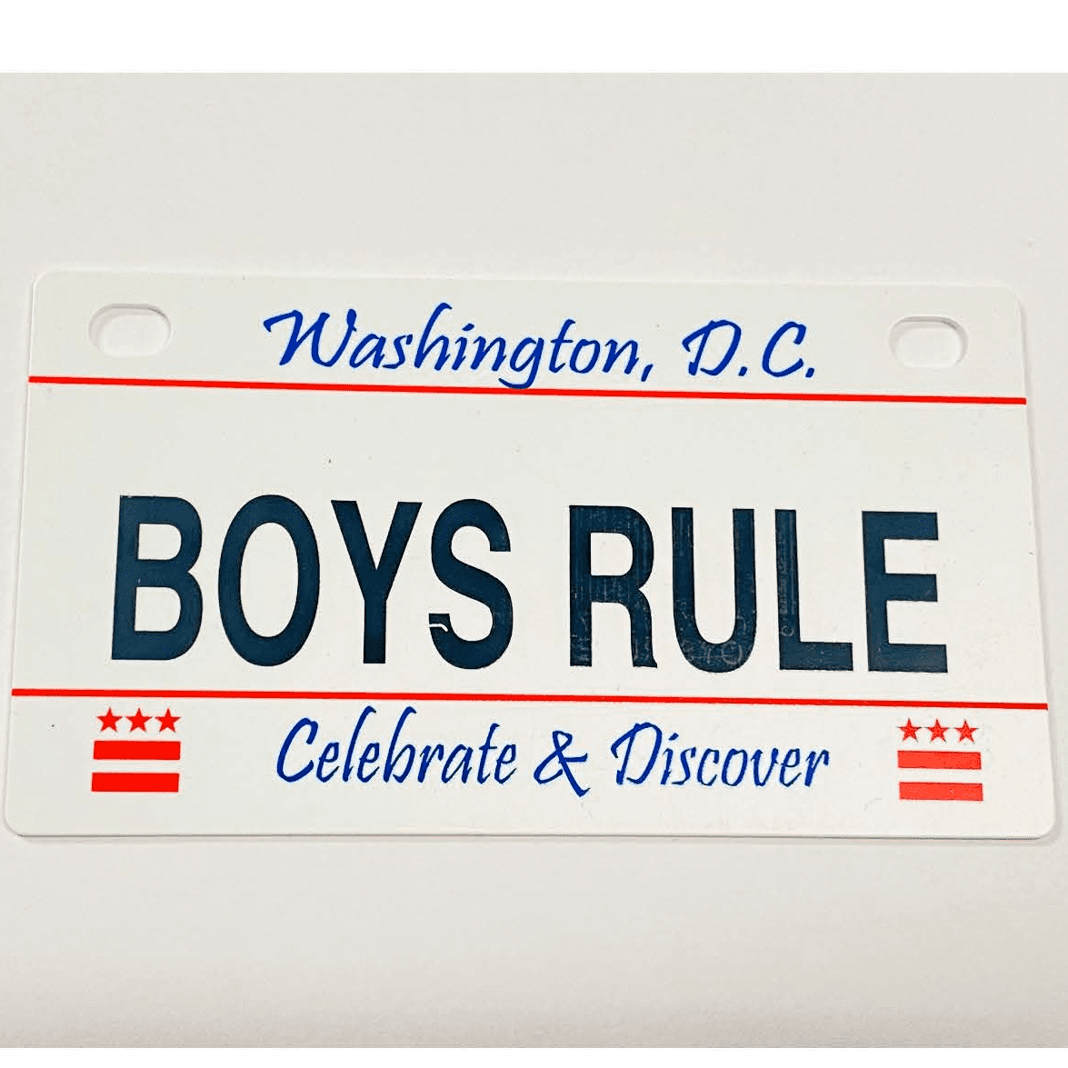 Boys Rule Mini Bike Plate - Mini Size - Walmart.com