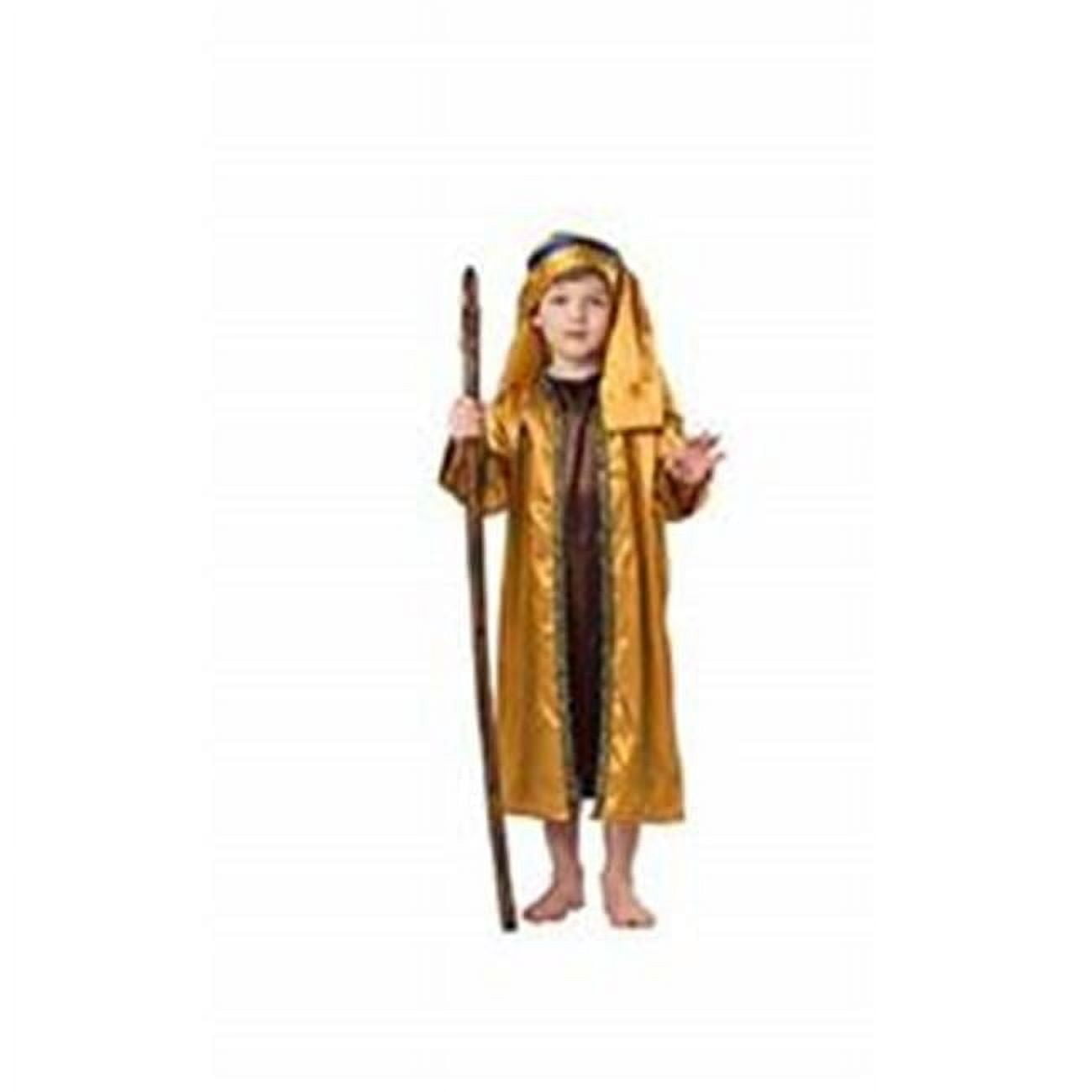 Boys Shepherd Robe Costume with Coat Headpiece & Crook, Brown - Large ...