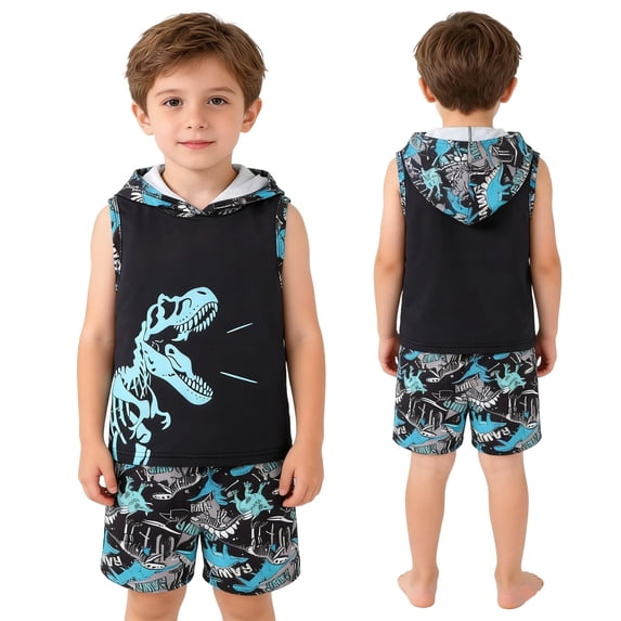 Boys Shorts Sets Sleeveless Hooded Cartoon Dino Pullover and Shorts 2 ...