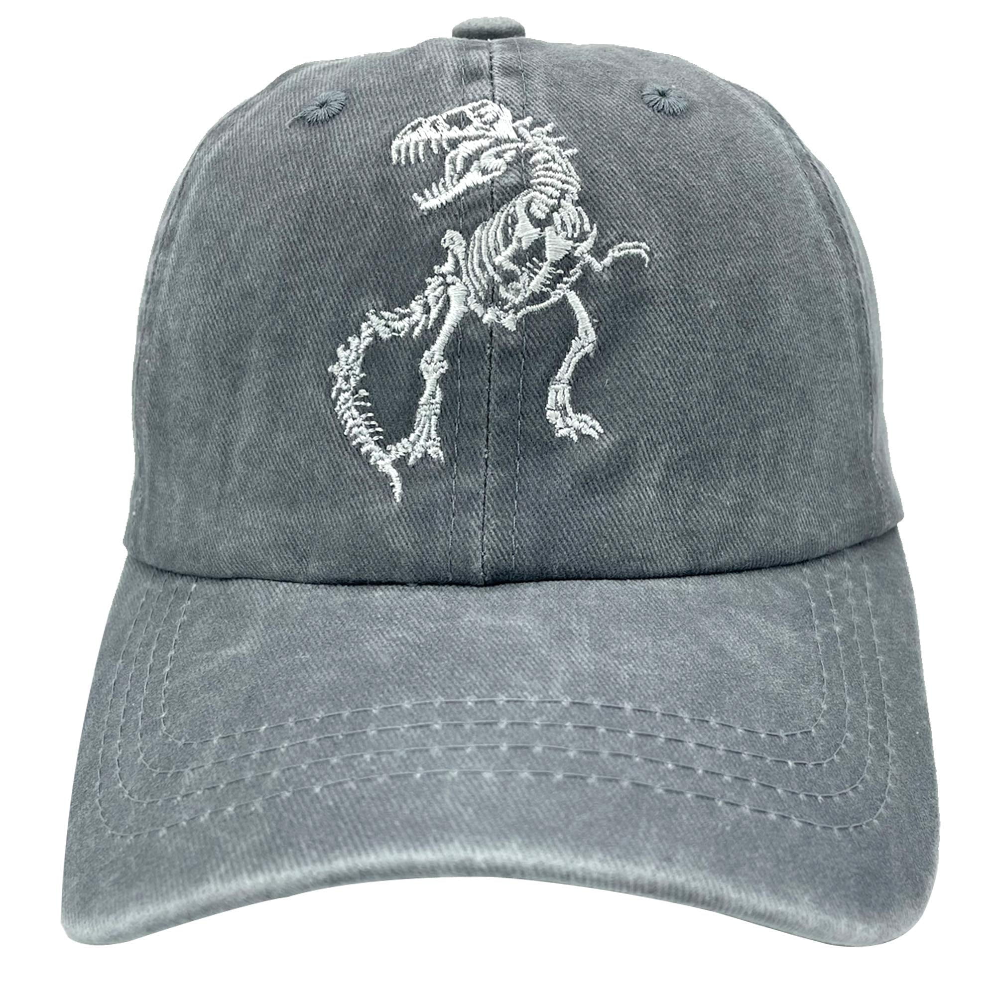 Boys' Skull Dinosaur Hat, Washed Vintage Summer Baseball Cap for Kids ...