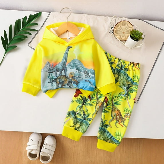 Boys Sweatsuit Fleece Dinosaur Print Long Sleeve Hoodies Pants Girls ...