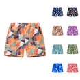 Boys Swim Trunks Cartoon Print Hawaiian Style Swim Shorts Quick Dry ...