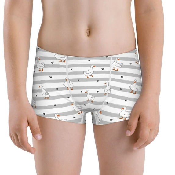 Boys Underwear - Cute Goose Soft 100% Cotton Boys Boxer Briefs ...