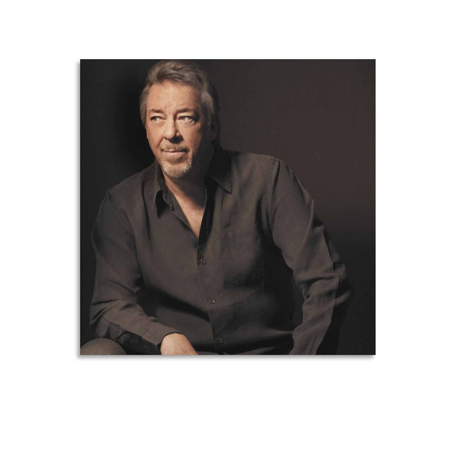 Boz Scaggs Guitarist Poster Posters Art Print Wall Photo Paint Poster ...