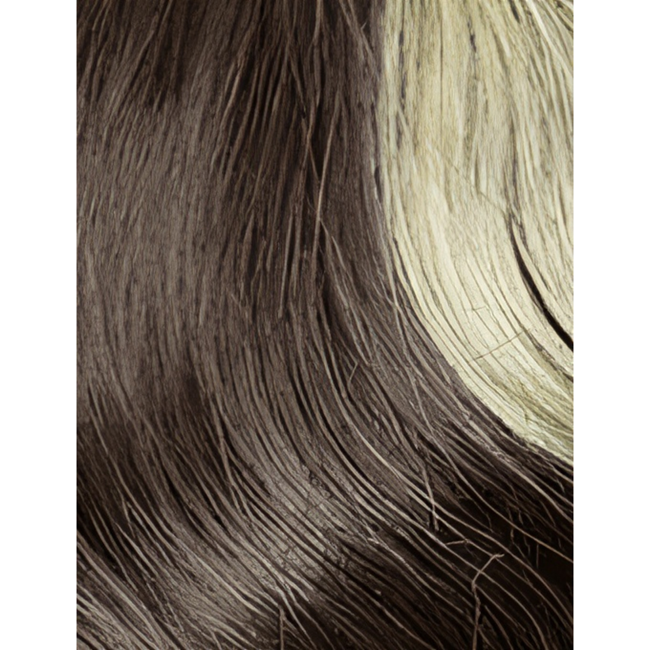 Bpolished Beauty Supply Sensationnel Dashly Lace Wig - Unit 27 - Mp ...