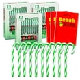 Brach's Wintergreen Candy Canes 36 Pack - Bundle with 36 Wintergreen ...