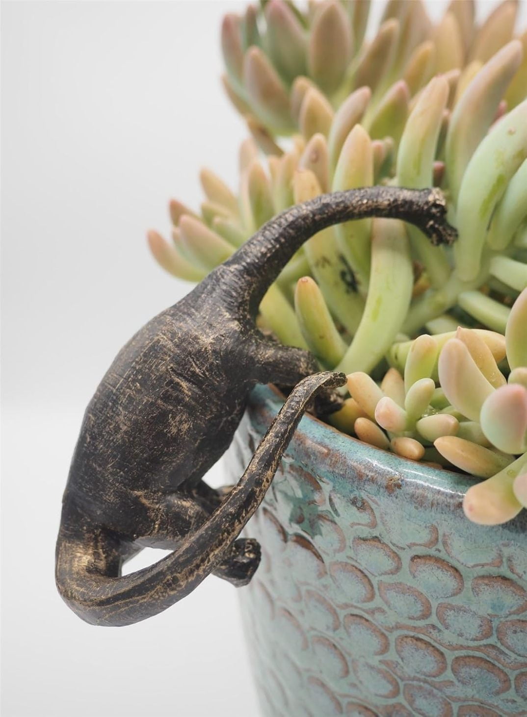 Brachiosaurus Pot Buddy - Decorative Plant Pot Hanger - Walmart.com