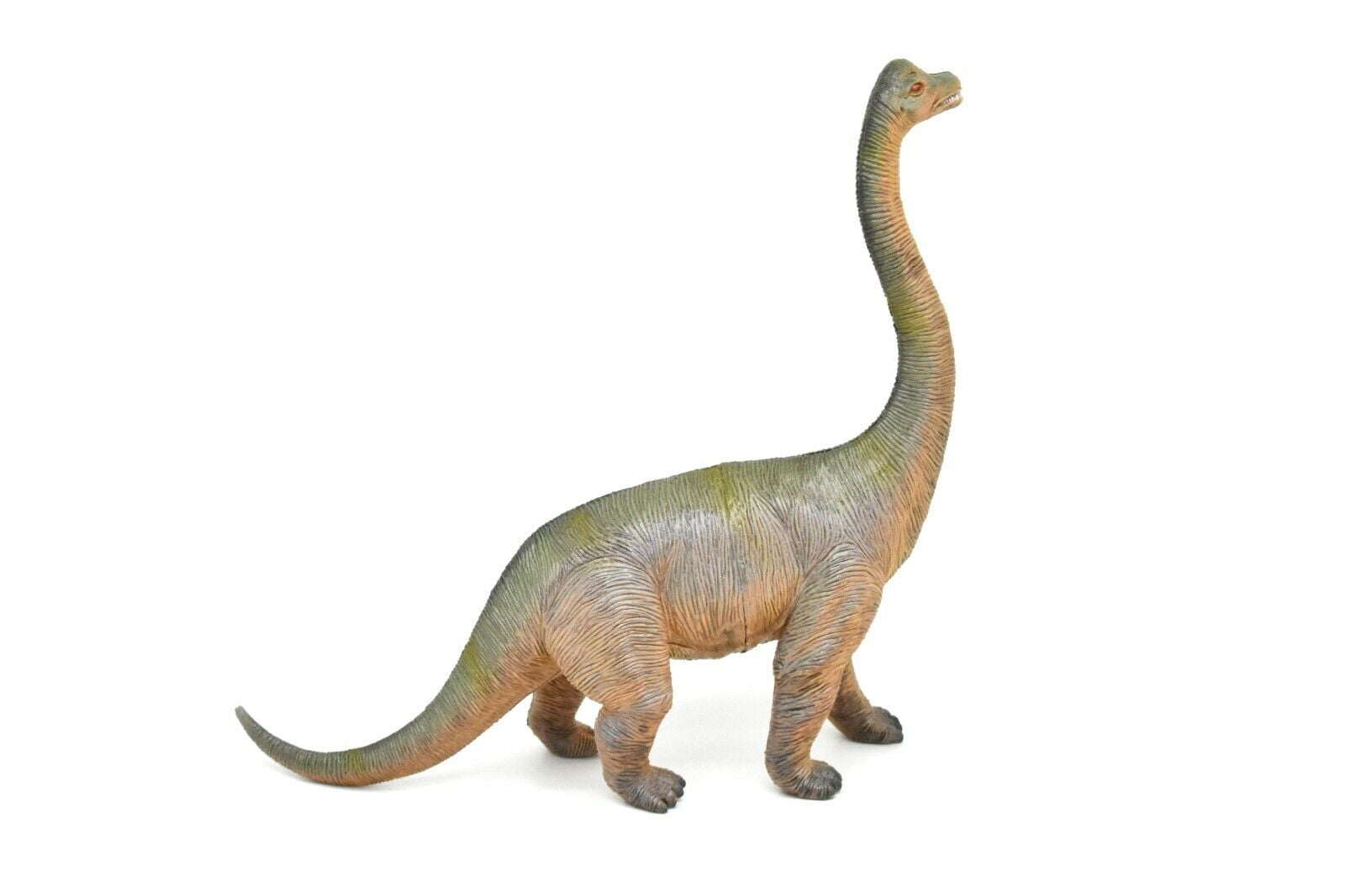 Brachiosaurus Toy, Dinosaur Model, Realistic Plastic Replica, 14 ...
