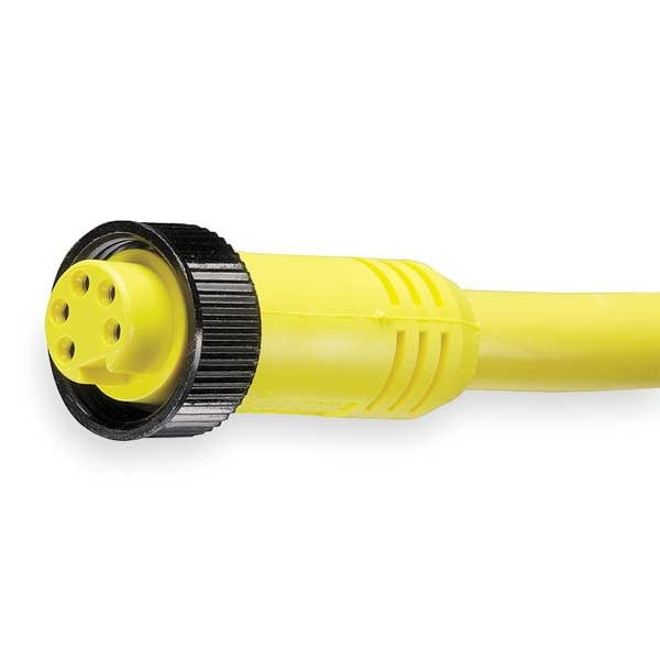 Brad Harrison Cordset,5 Pin,Receptacle,Female 105000A01F060 - Walmart.com