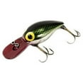 Brad's Wee Wiggler, Green Pirate - Walmart.com
