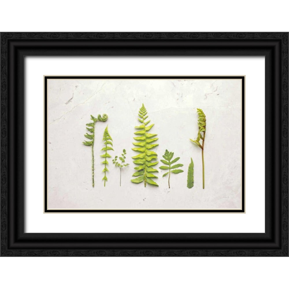 Bradley, Felicity 14x11 Black Ornate Wood Framed with Double Matting ...