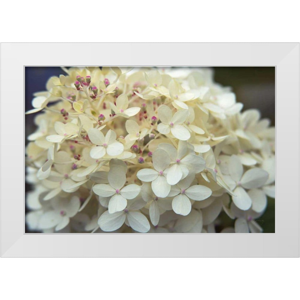 Bradley, Felicity 14x11 White Modern Wood Framed Museum Art Print ...