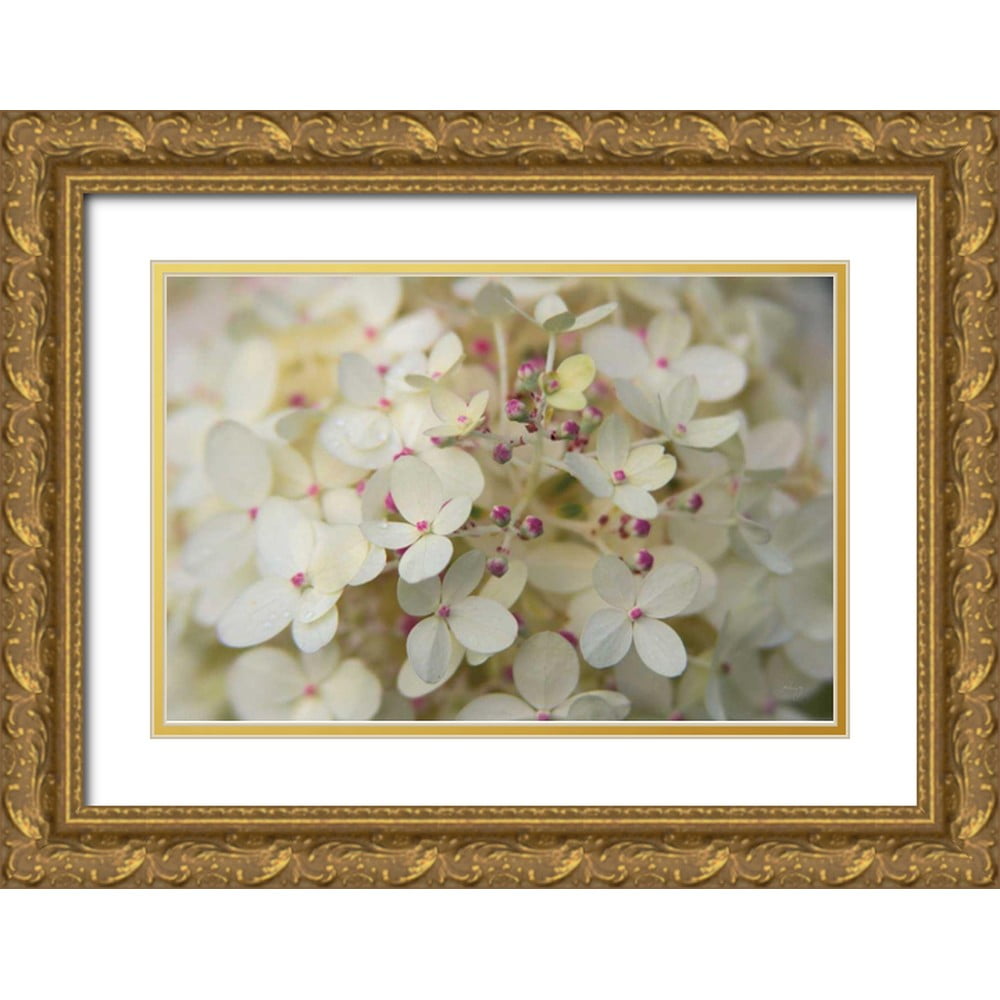 Bradley, Felicity 24x17 Gold Ornate Wood Framed with Double Matting ...