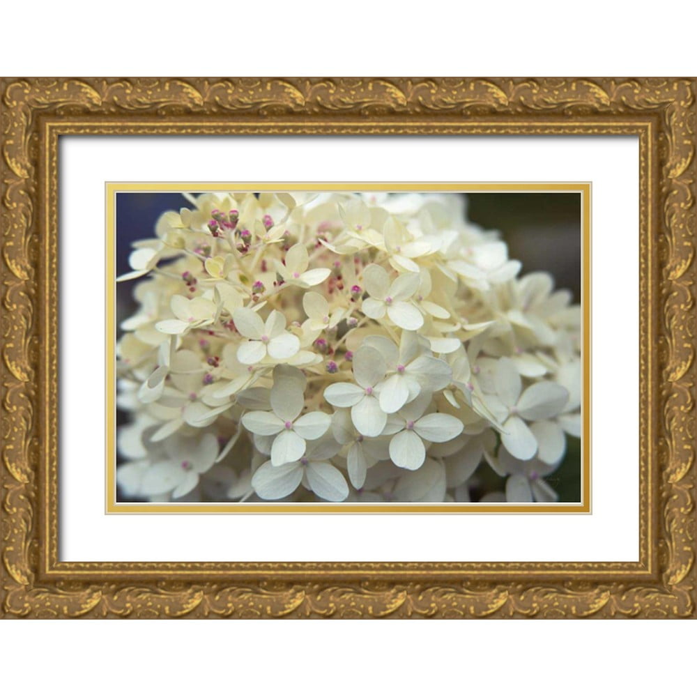 Bradley, Felicity 24x17 Gold Ornate Wood Framed with Double Matting ...