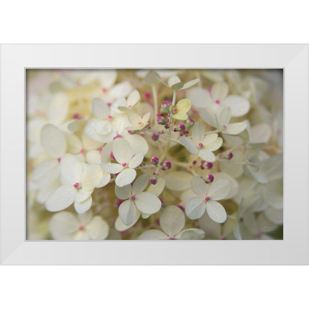 Bradley, Felicity 24x17 White Modern Wood Framed Museum Art Print ...