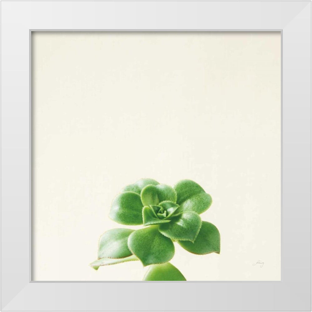 Bradley, Felicity 26x26 White Modern Wood Framed Museum Art Print Titled - Succulent Simplicity ...