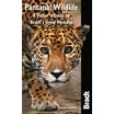 Practical Tracking : A Guide to Following Footprints and Finding Animals (Paperback) - Walmart.com