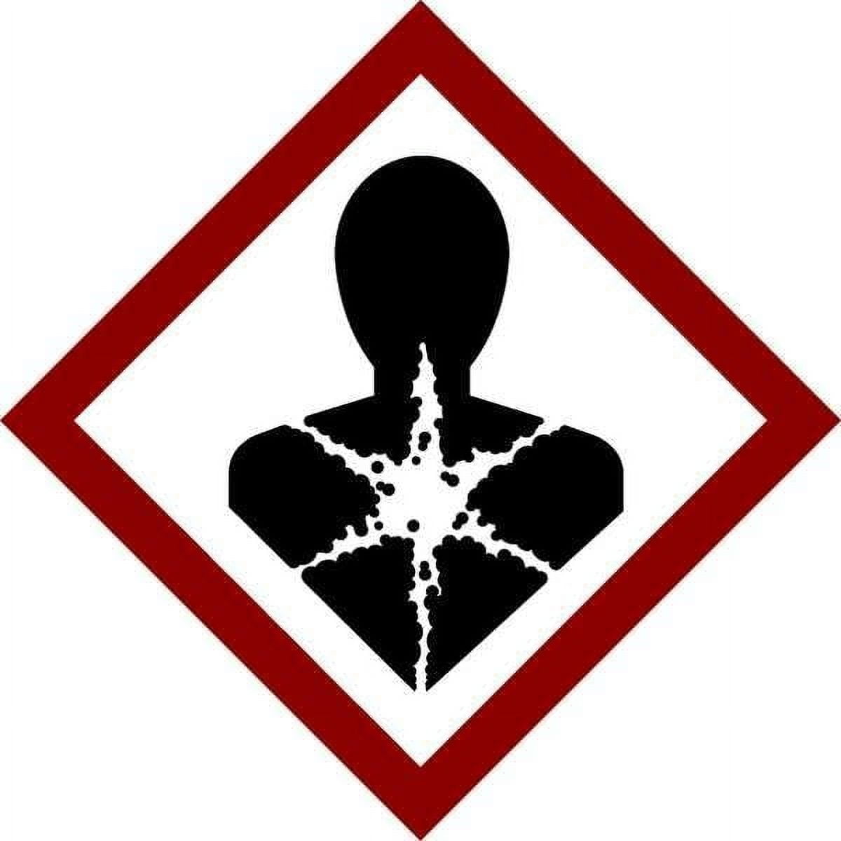 Brady GHS Label,2"H,2"W,PK4 118907 - Walmart.com