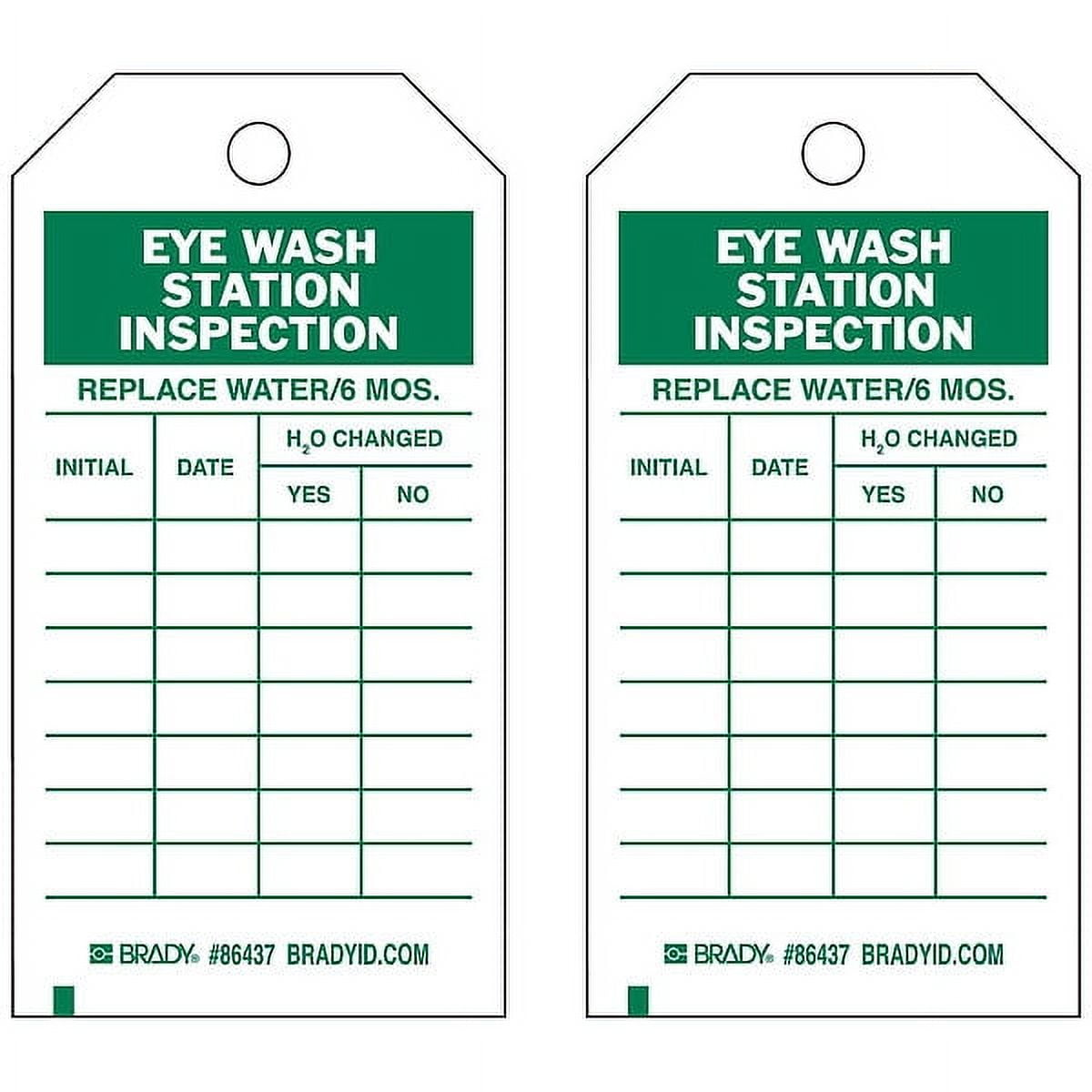 Brady Inspection Tag,7inHx4inW,HD Poly.,PK10 86499 - Walmart.com